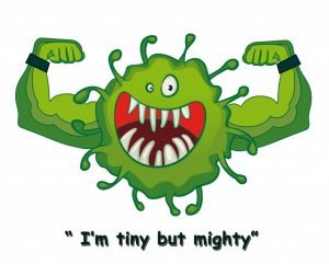 Bacteria: Definition, Types, Shapes & Structure