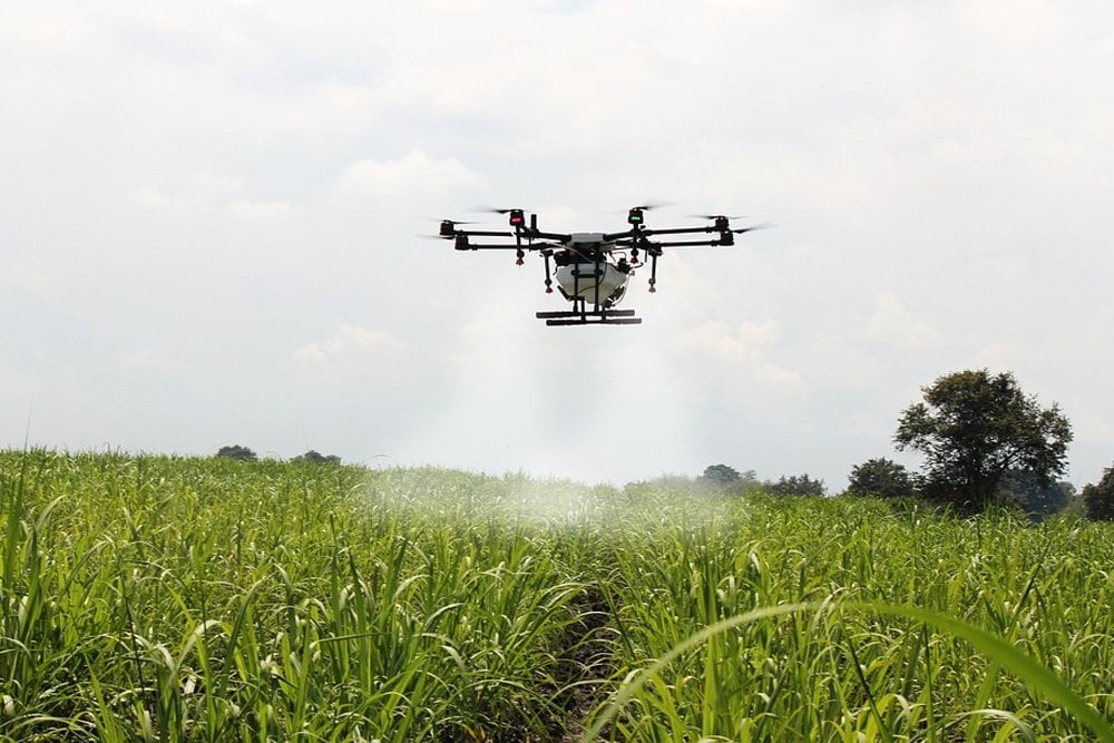 What Are Fumigants? What Are Chemical Properties Of Fumigants?