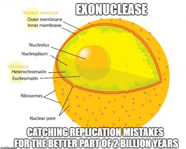 Young's Double Slit Experiment: A Simple Explanation
