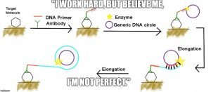 Deletion Mutation: Definition, Explanation, and Example