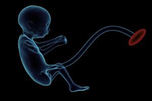 Innies vs. Outies - What decides the shape of your belly button?