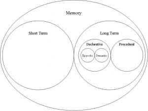 What Is Muscle Memory? How Does It Work?