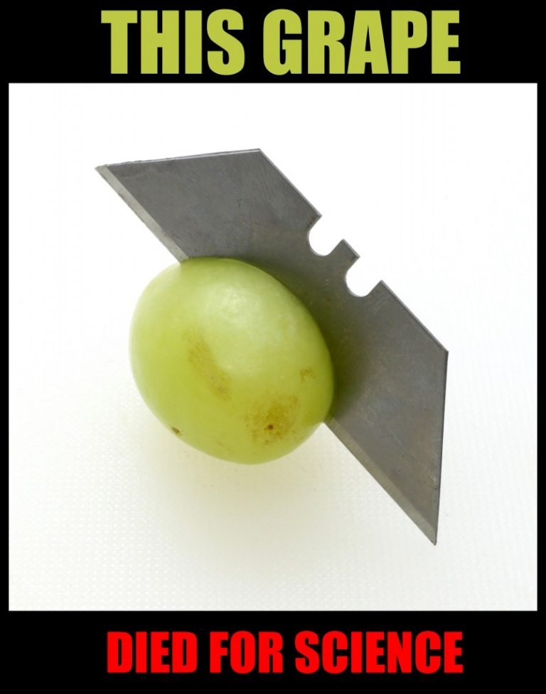 Grape In Microwave: Why Do Grapes Explode In An Oven?