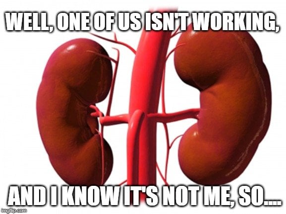 Pulmonary Edema Vs Pleural Effusion: How Our Bodies Deal With Fluid In ...