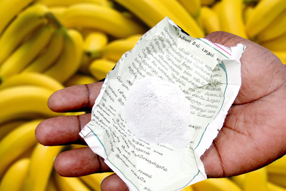 Fruit Ripening: How Do Fruits Ripen