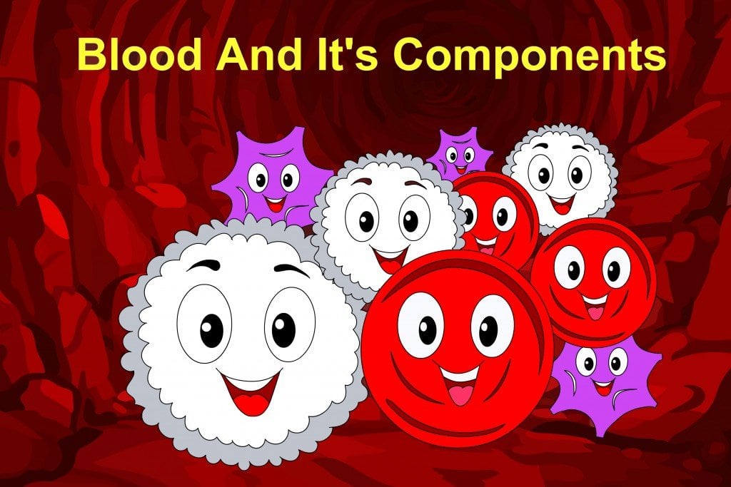 Blood And Its Components Blood And Its Components