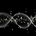 Do Plants Use Quantum Mechanics To Perform Photosynthesis? » Science ABC