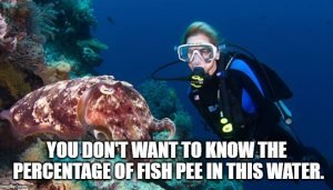 Do Fish Pee?