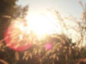 Lens Flare: Definition, Examples And A Simple Explanation