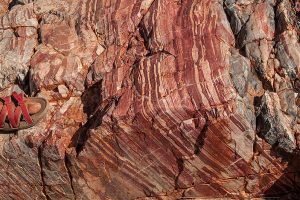 How Was The First Life On Earth Like?