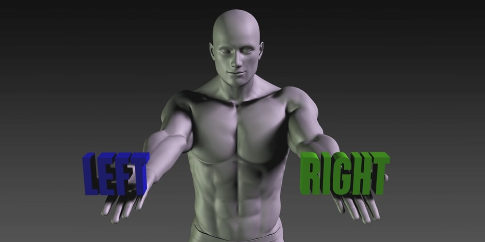 Left Wing Vs Right Wing: What's The Difference?