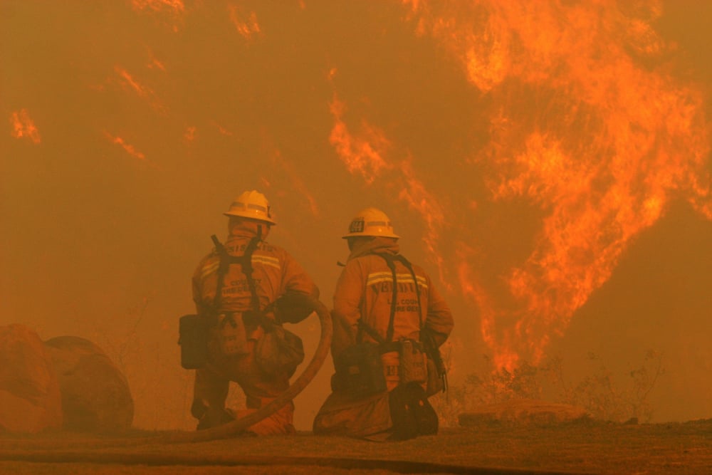 How Do Wildfires Start At The First Place? How To Prevent Wildfires?