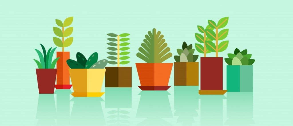 Plant Reproduction How Do Plants Reproduce plant-reproduction-how-do-plants-reproduce