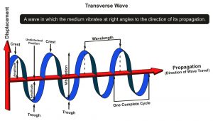 Why Do Different Musical Instruments Make Different Sounds? » Science ABC
