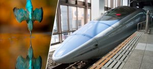 Biomimetics: What Is Biomimicry? What Are Its Different Types?