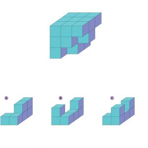 Spatial Intelligence: Definition, Explanation, Examples and Importance