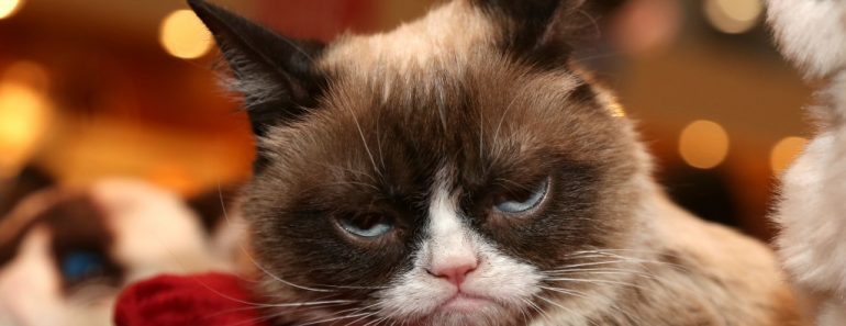 ScienceABC » Page 98 of 227 » Science Explained In Simple Words