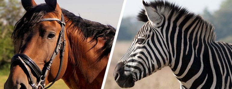 Science ABC » Page 72 of 249 » Fun and interesting facts from science ...