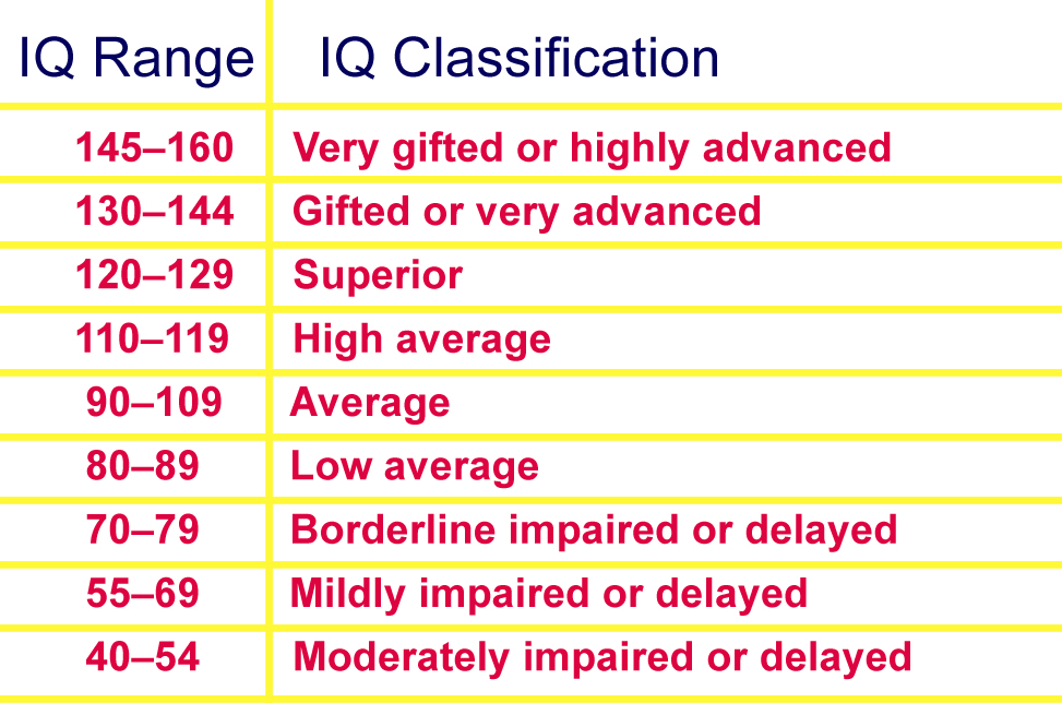 High IQ Definition Explanation Score Range And Examples