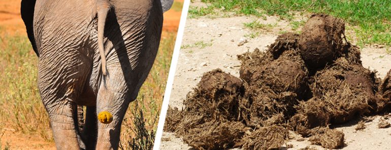 Science ABC » Page 81 of 234 » Science Explained In Simple Words