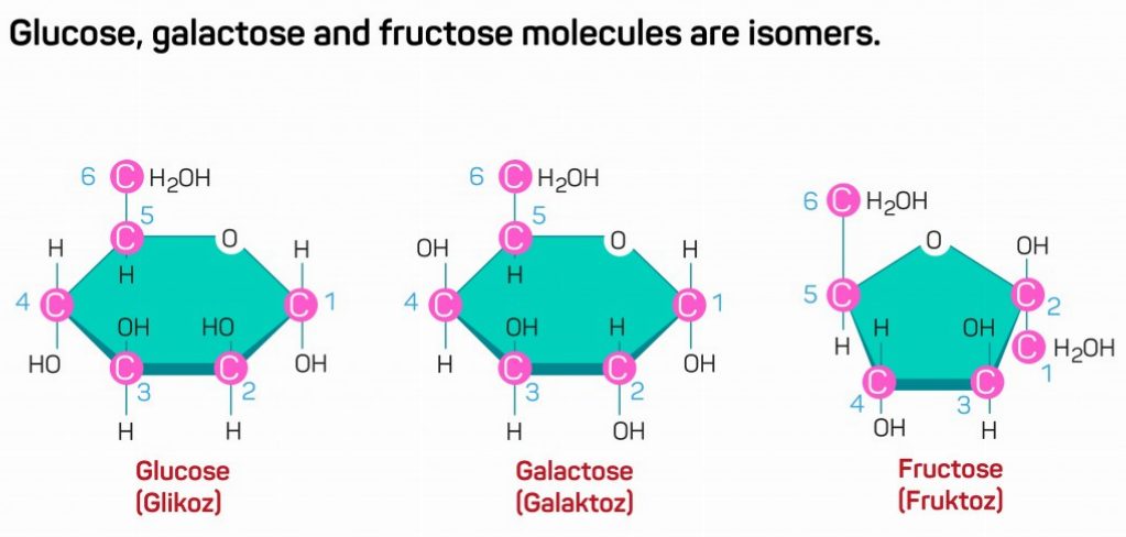 Monomers And Polymers: Definition, Chemical Properties and Differences
