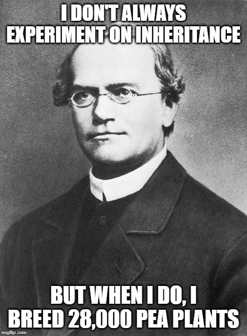 Mendel's Law Of Independent Assortment: Definition, Explanation ...