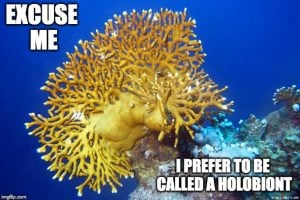 Holobiont: Definition, Explanation And Examples