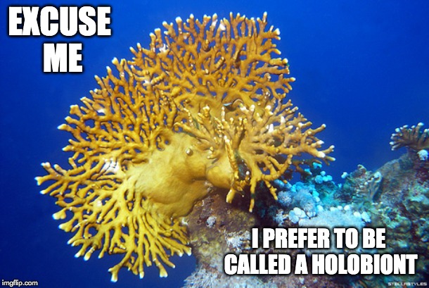 Holobiont: Definition, Explanation And Examples