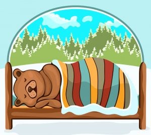Why Do Bears Hibernate? How Long Do Bears Hibernate?