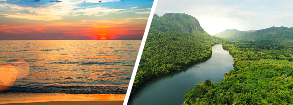 What Are Habitats And Niches? » ScienceABC