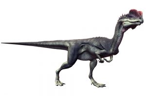 Dilophosaurus: Size, Height, Spit, Characteristics, And Other Facts