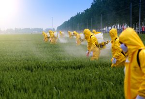 What Are Biopesticides: Definition, Types, Examples, Pros and Cons