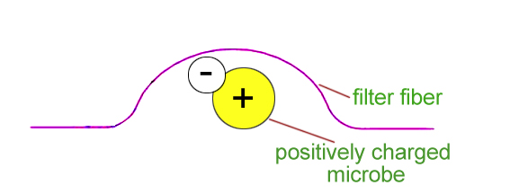 How Do Masks Filter Microbes Smaller Than Their Pores? » ScienceABC