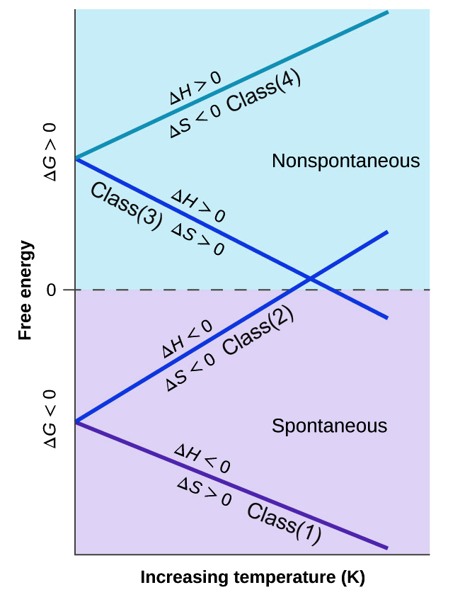 What Is Gibbs Free Energy? What Is Its Equation? » ScienceABC