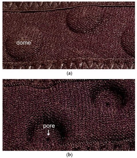 How Can Nature Inspire Technology? » Science ABC