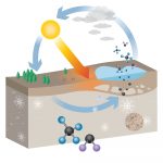 Mammoth Steppe: How Disappearance Of Mammoths Affect Earth's Ecosystem?