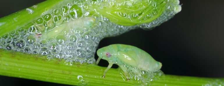 ScienceABC » Page 69 of 227 » Science Explained In Simple Words