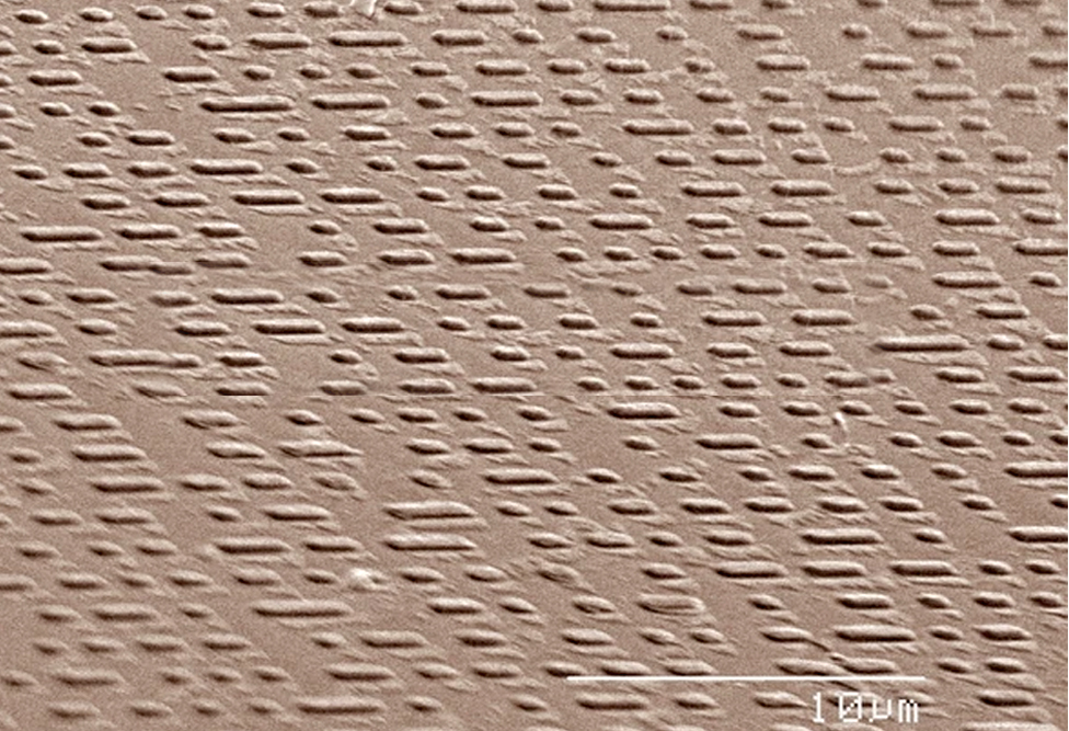 How Is Data Stored On Optical Disc Like DVD?