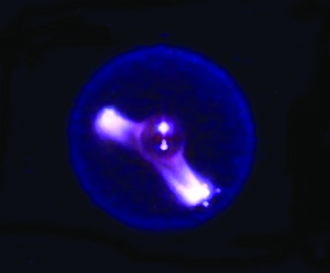 What Are Cool Flames And Why Are They So Unique?