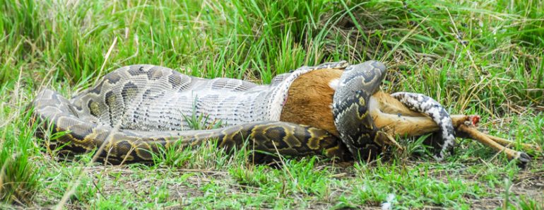 Science ABC » Page 45 of 233 » Science Explained In Simple Words