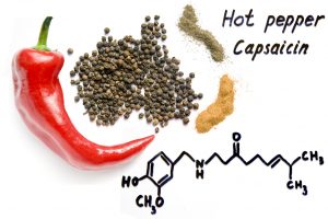 How Capsaicin Led To The 2021 Nobel Prize In Physiology? » ScienceABC
