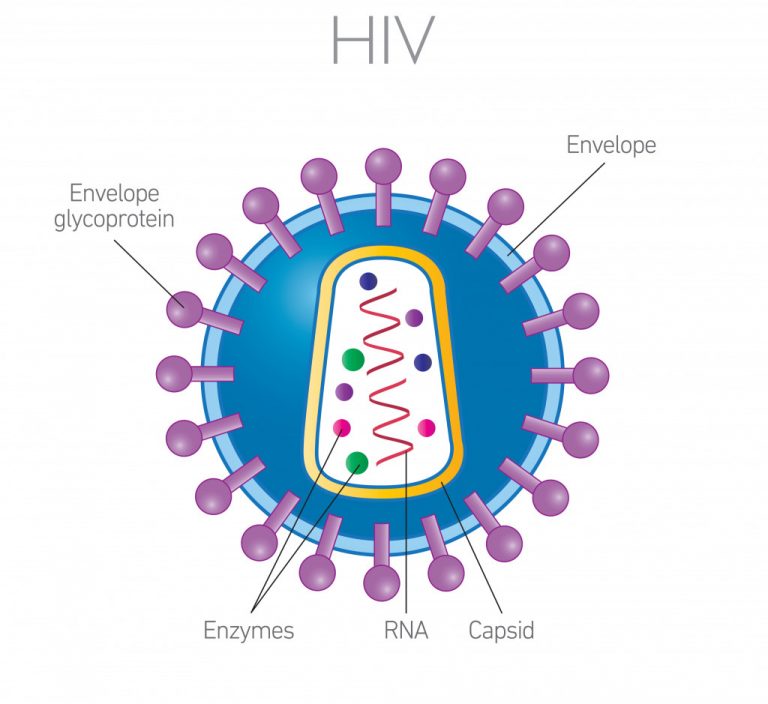 Where Did Viruses Come From? » ScienceABC