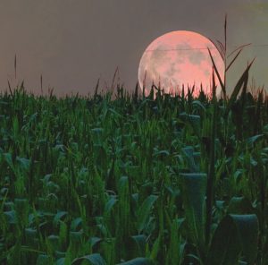 The Blood Moon, The Pink Moon, The Harvest Moon, And The Blue Moon ...