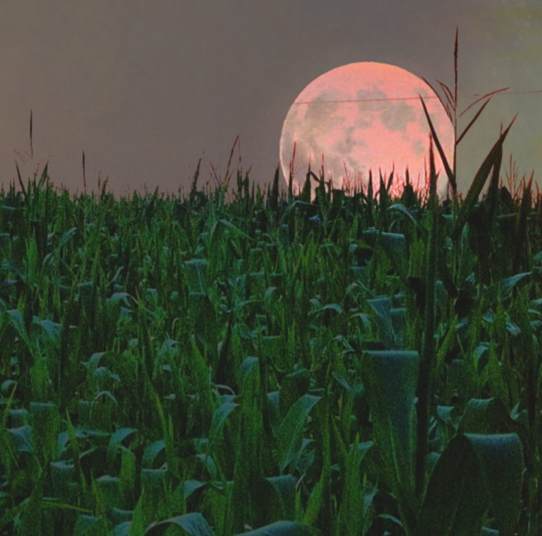 The Blood Moon, The Pink Moon, The Harvest Moon, And The Blue Moon ...