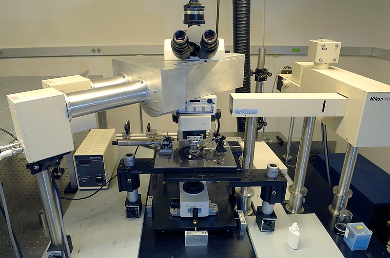 Which Is Better: Optical Microscope Or Electron Microscope? » ScienceABC