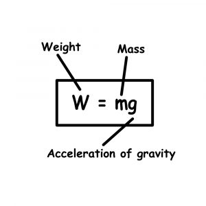 Why Do We Feel Lighter In Water? » ScienceABC