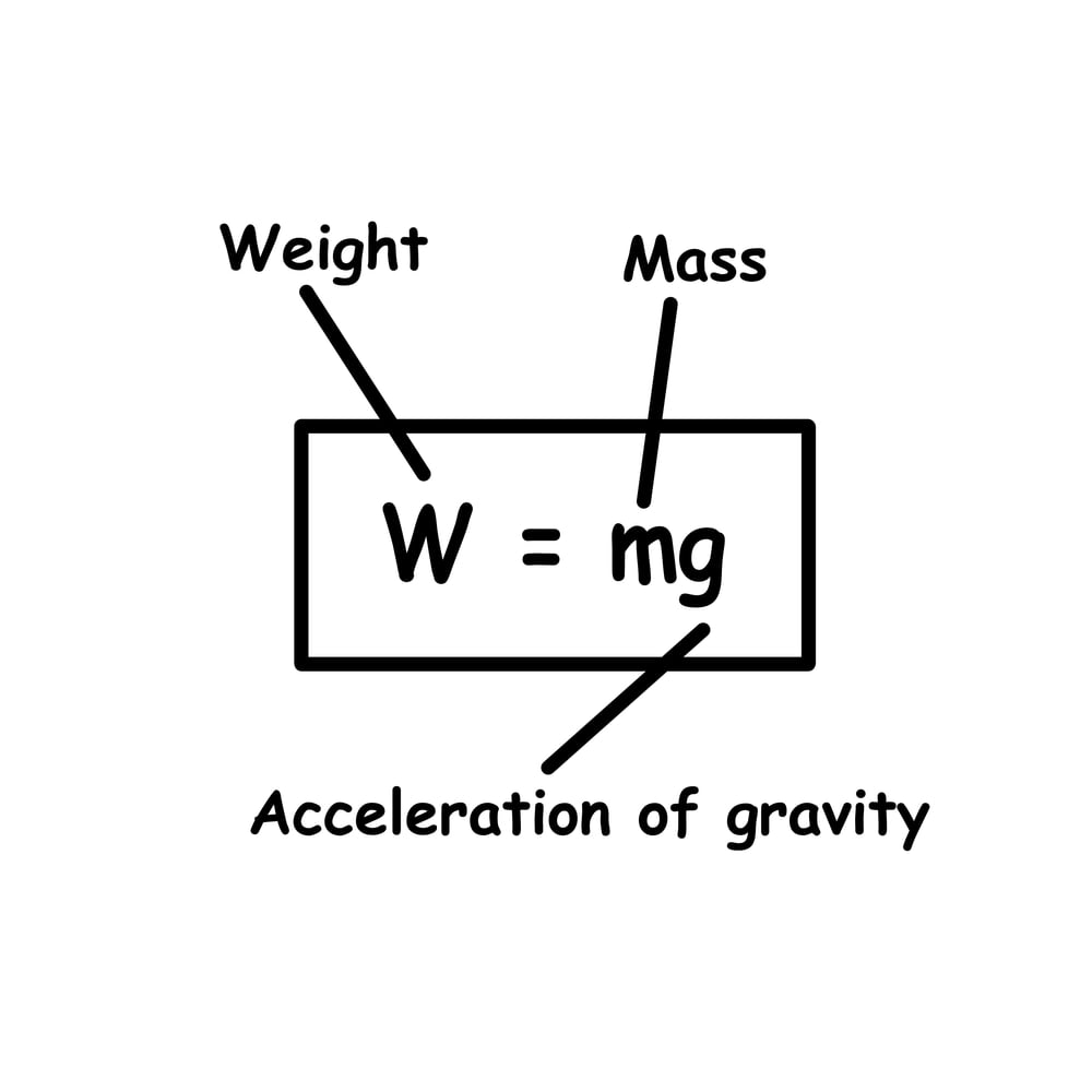 Why Do We Feel Lighter In Water? » ScienceABC