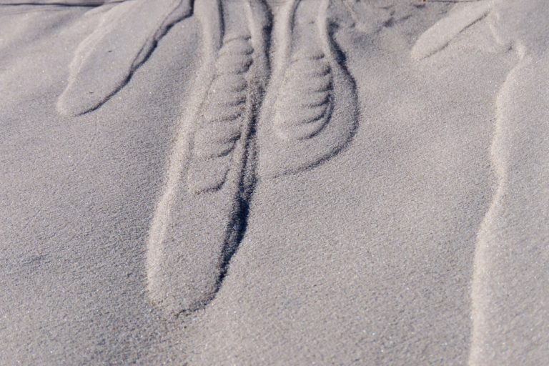 Singing Dunes: What Makes These Sand Dunes Sing? » ScienceABC