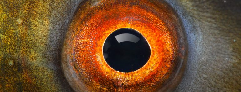 ScienceABC » Page 47 of 227 » Science Explained In Simple Words