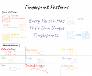 Can Fingerprints Be Recovered After They're Wiped? » ScienceABC